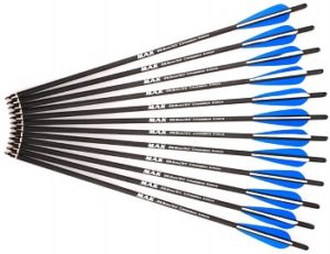 Best 5 Crossbow Bolts, Arrows & Quarrel For Sale 2022 Reviews