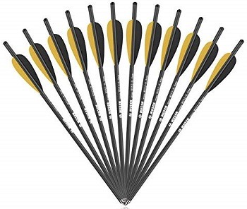 Best 5 Crossbow Bolts, Arrows & Quarrel For Sale 2022 Reviews